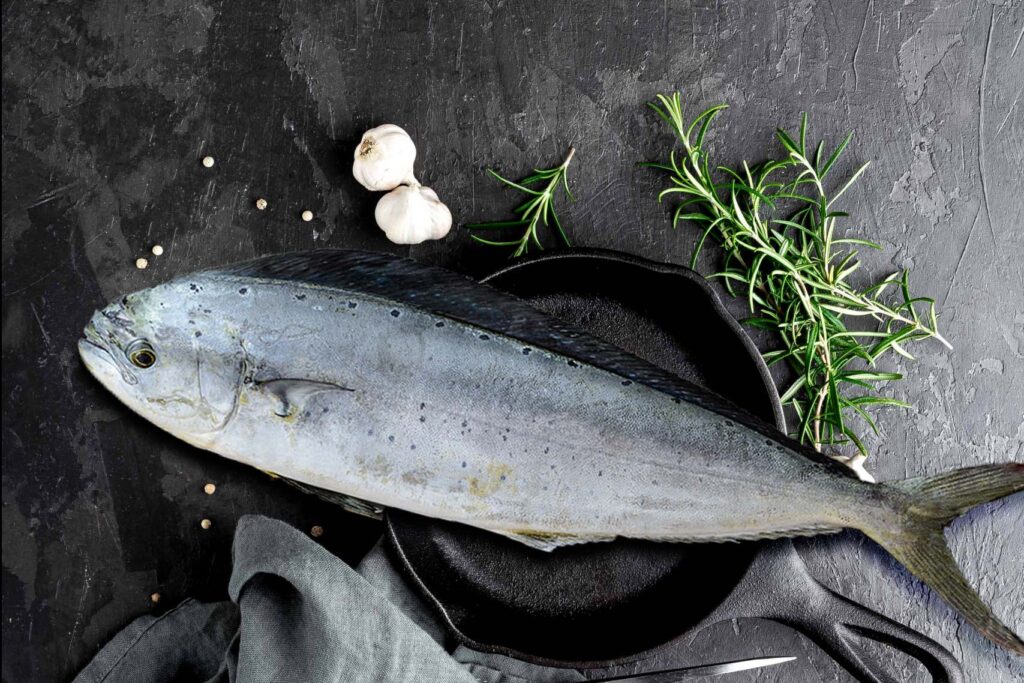 Seawater Fish - Siam Canadian